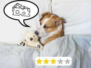 CAN DOGS EAT CHEESE [23 CHEESES RANKED BEST TO WORST ] - Safe For Dog